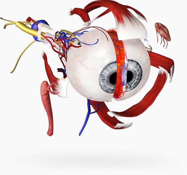 Eye – Practical Series